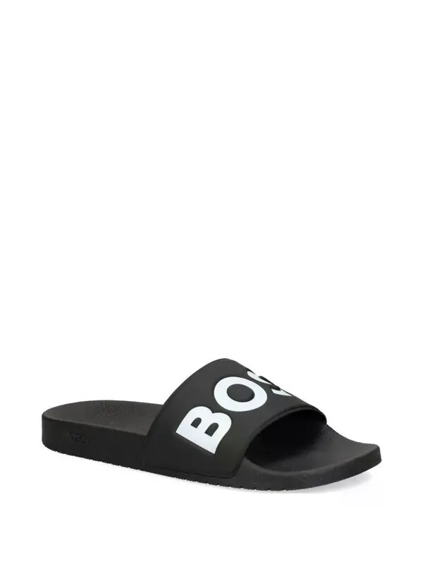 BOSS Aryeh Logo Slides