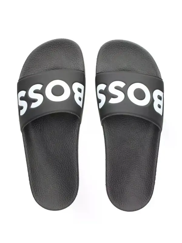 BOSS Aryeh Logo Slides