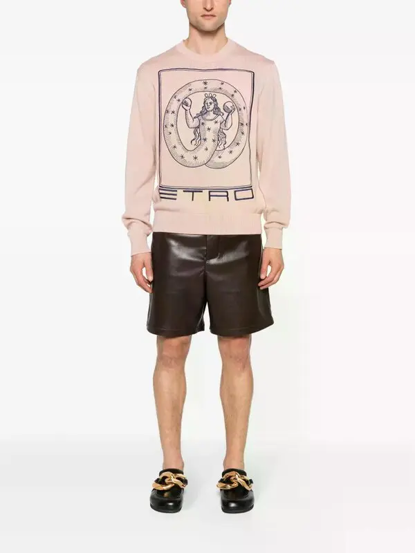 Etro Motif-embroidered Cotton Jumper - Pink