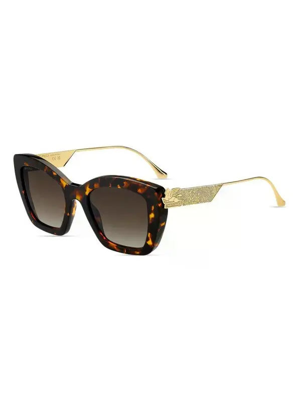 Etro Bold Pegaso Sunglasses - Brown