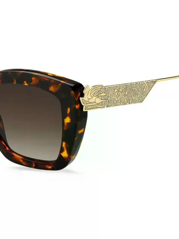 Etro Bold Pegaso Sunglasses - Brown