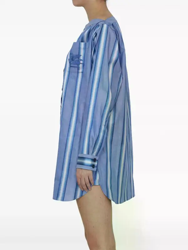 Etro Striped Shirt Dress
