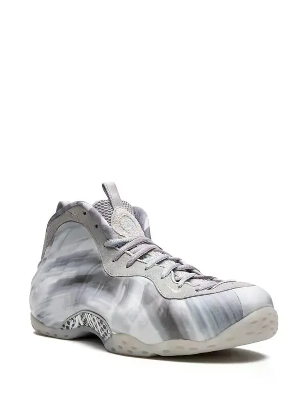 Nike Air Foamposite One Dream A World Sneakers - Grey