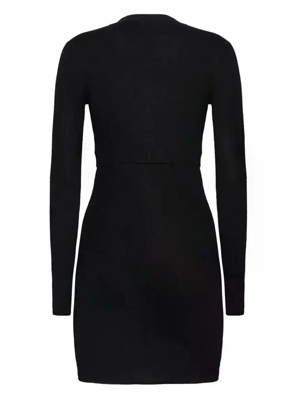 Pinko Riserva Mini Dress
