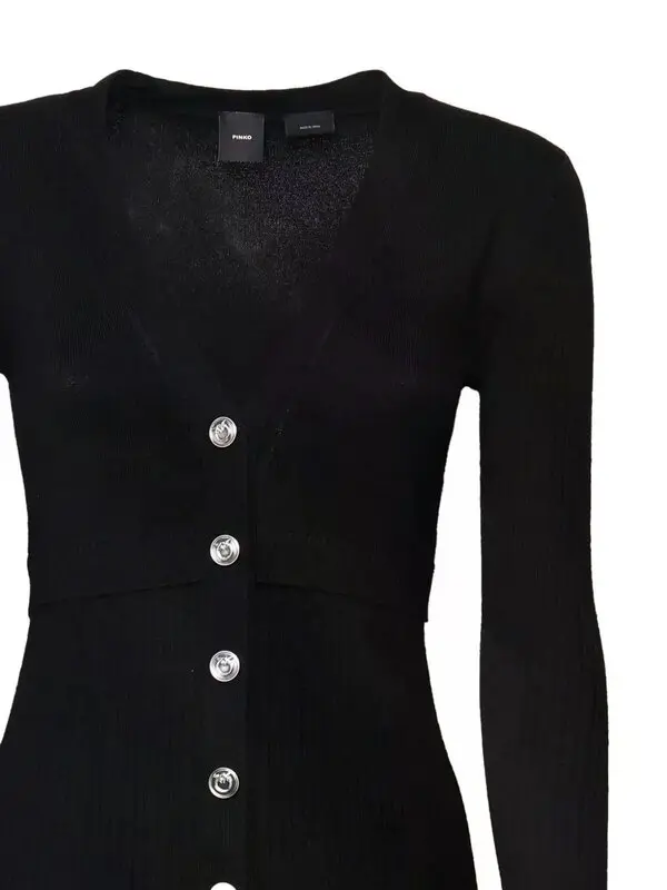Pinko Riserva Mini Dress