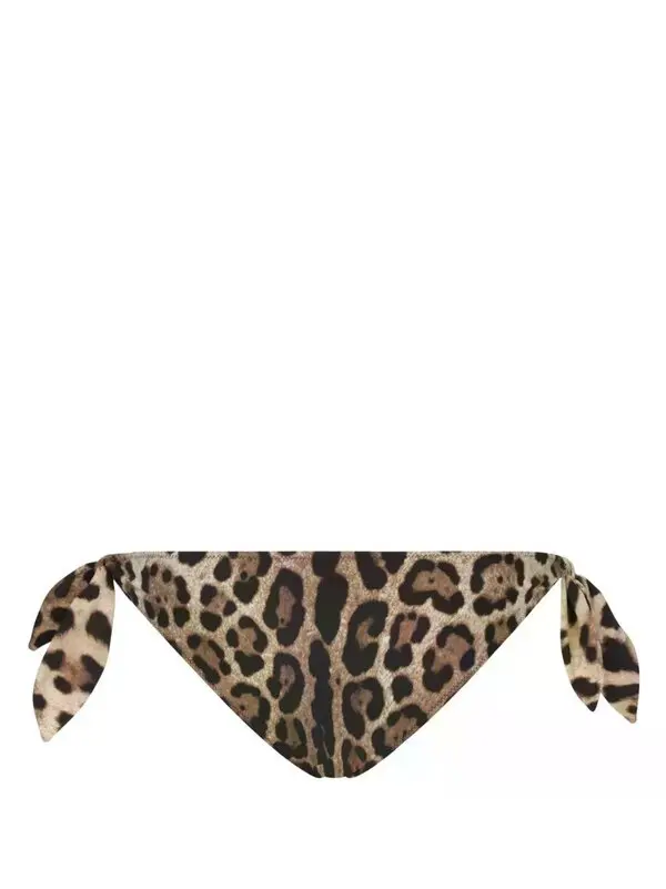 Dolce & Gabbana Leopard-print Bikini Bottom - Brown