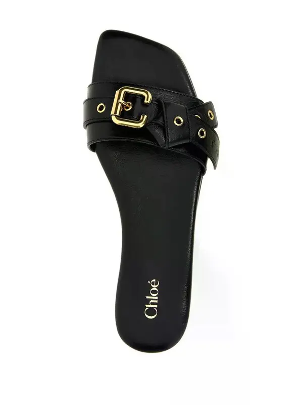 Chloé Mae Slides
