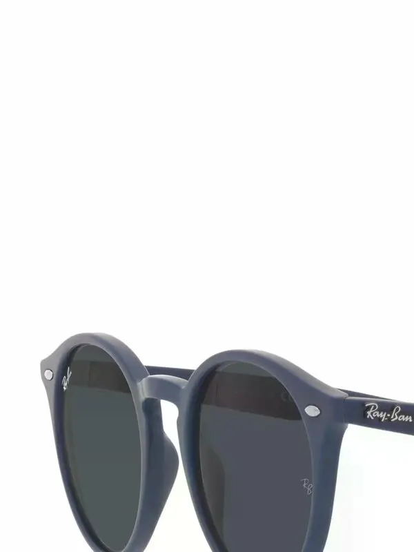 Ray-ban Round-frame Sunglasses