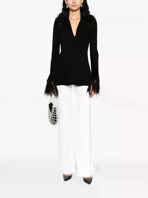 Alberta Ferretti Button-up Jacket With Feather Trim
