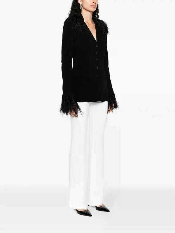 Alberta Ferretti Button-up Jacket With Feather Trim