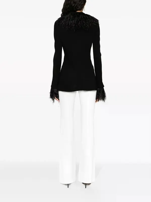 Alberta Ferretti Button-up Jacket With Feather Trim