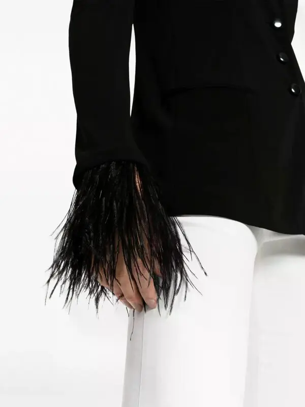 Alberta Ferretti Button-up Jacket With Feather Trim