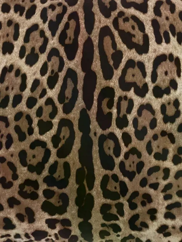 Dolce & Gabbana Leopard-print Silk Twill Cushion