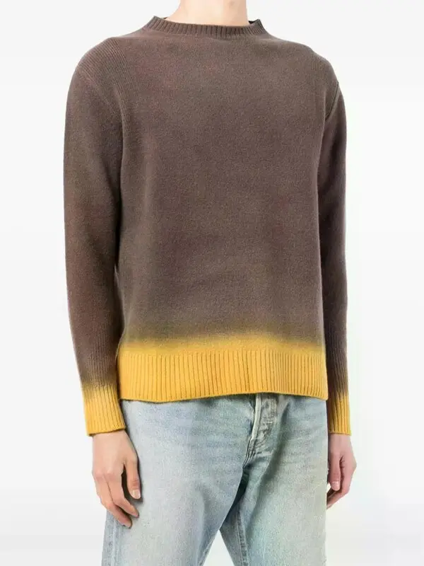 Nick Fouquet Ombré Sweater