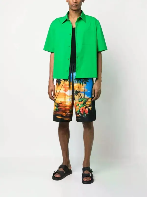 Dolce & Gabbana Palm Tree-print Cotton Shorts - Blue