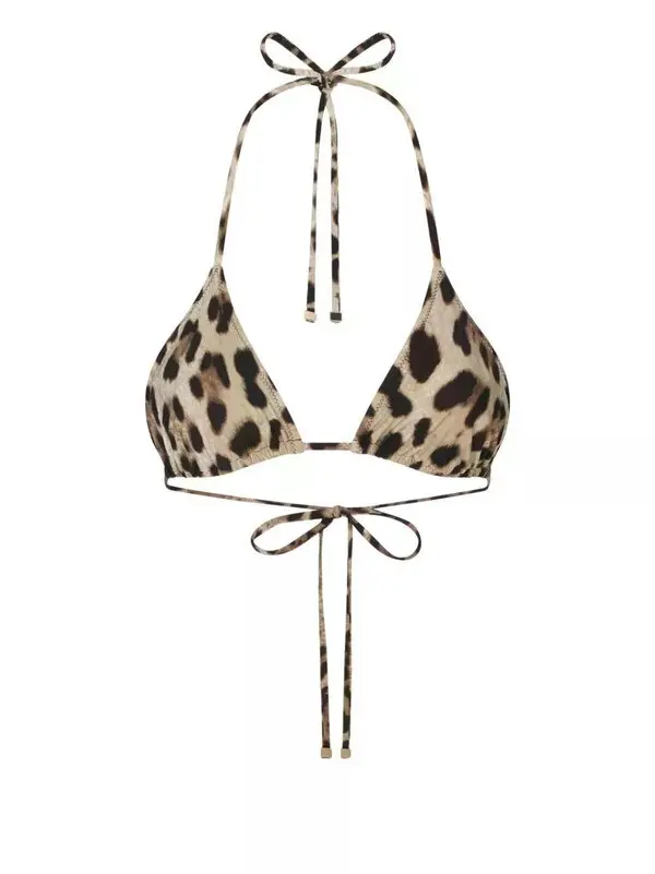 Dolce & Gabbana Leopard-print Triangle Bikini Top - Neutrals