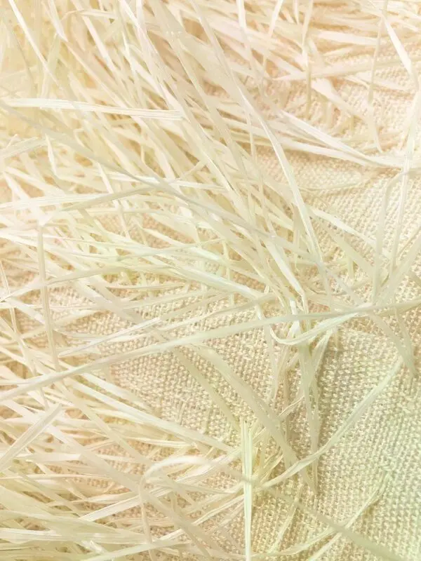 Jacquemus La Robe Raphia Fringed Dress
