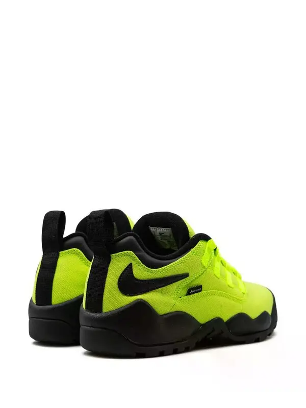 Nike X Supreme Sb Darwin Low Sneakers - Green