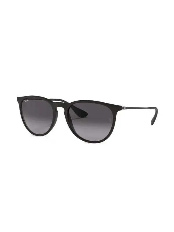 Ray-ban Erika Classic Sunglasses