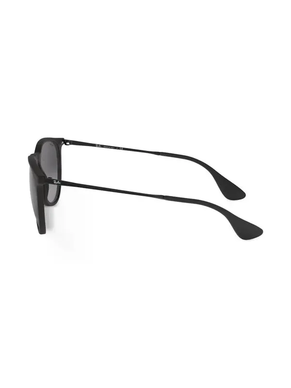 Ray-ban Erika Classic Sunglasses
