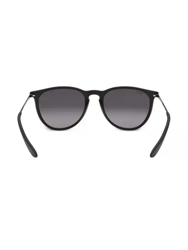 Ray-ban Erika Classic Sunglasses