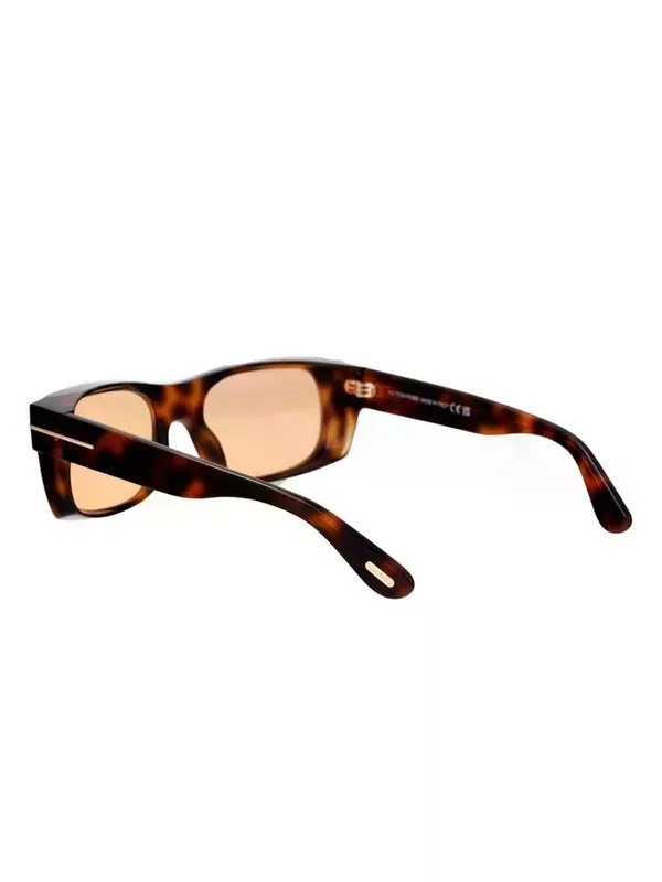 TOM FORD Juan Sunglasses