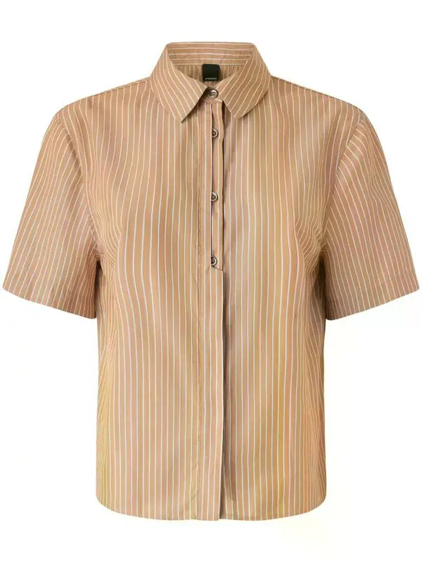Pinko Striped Shirt - Brown
