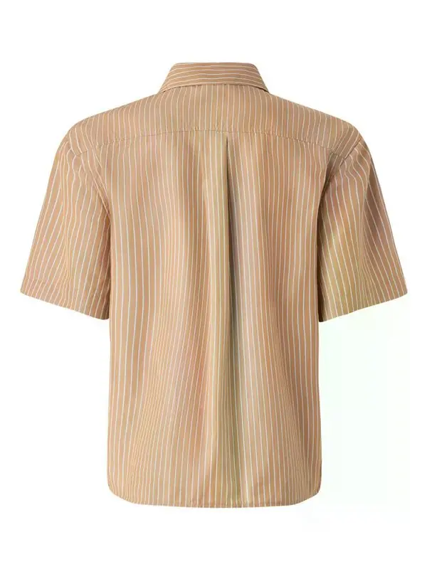 Pinko Striped Shirt - Brown