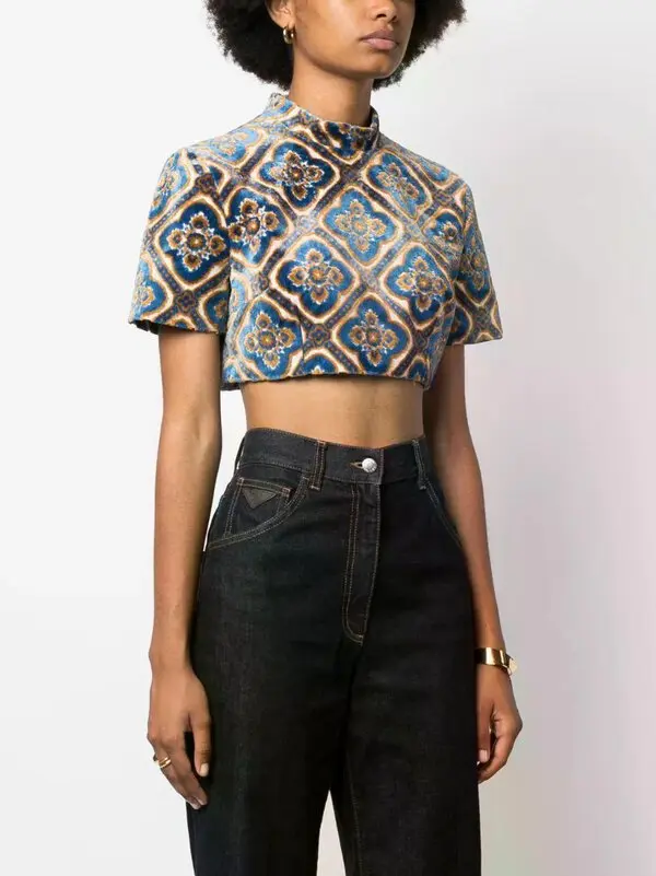 Etro Abstract-print Velvet Crop Top
