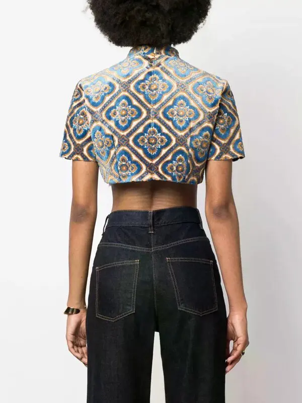 Etro Abstract-print Velvet Crop Top