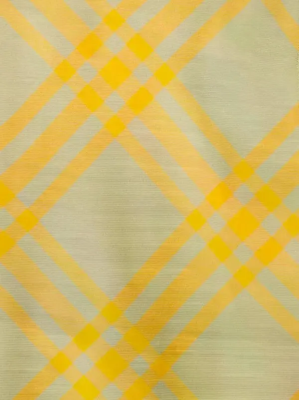 Burberry Check-pattern Frayed Kilt