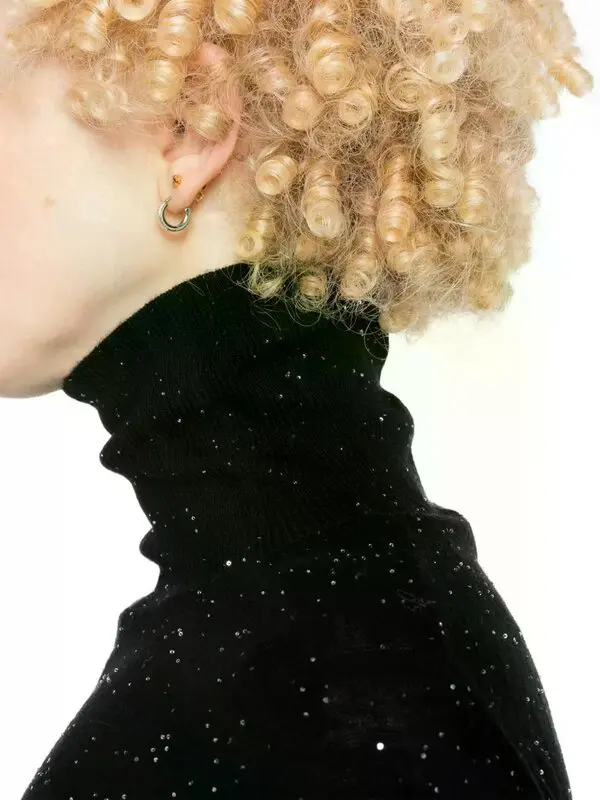 Fabiana Filippi Roll-neck Wool-blend Sweater