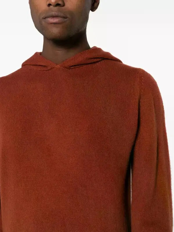 DELL'OGLIO Merino Wool-cashmere Blend Knitted Hoodie - Orange