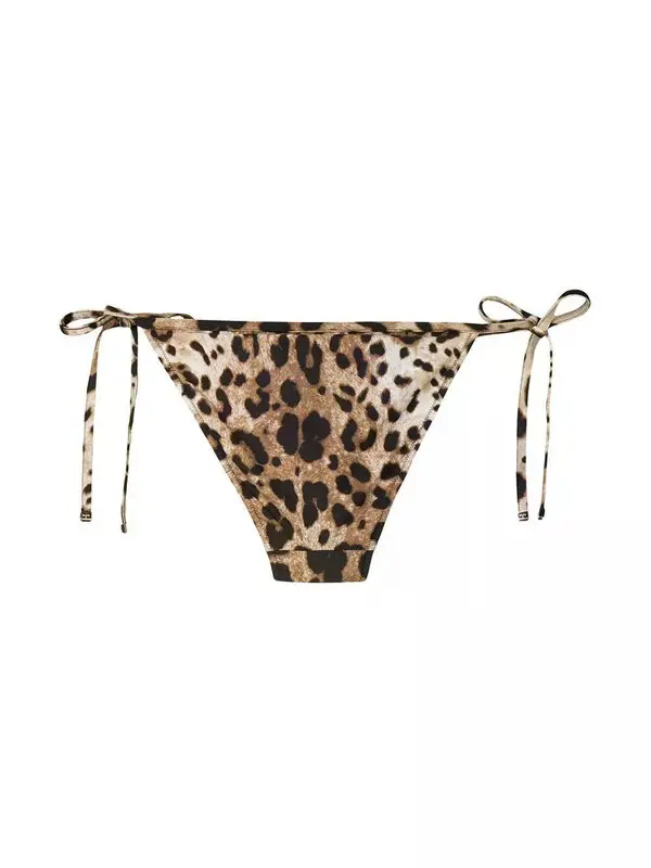 Dolce & Gabbana Leopard-print Bikini Bottoms - Brown