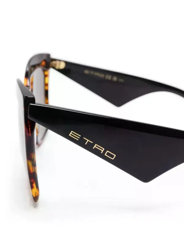 Etro Oversized-frame Sunglasses - Black