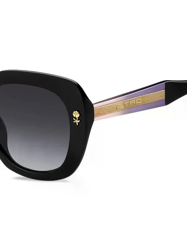 Etro Butterfly-frame Sunglasses - Black