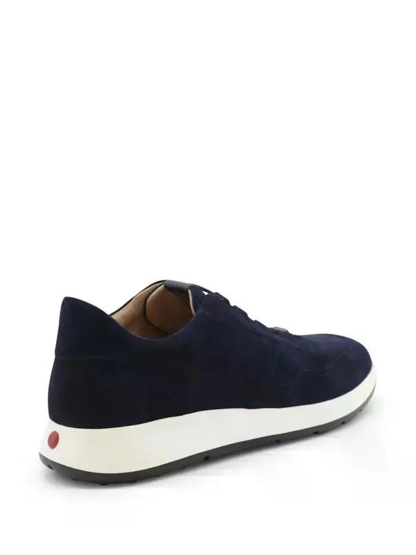 TOD'S Low-top Sneakers - Blue