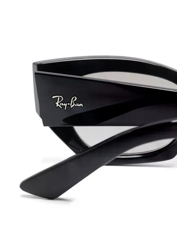 Ray-ban Zena Sunglasses