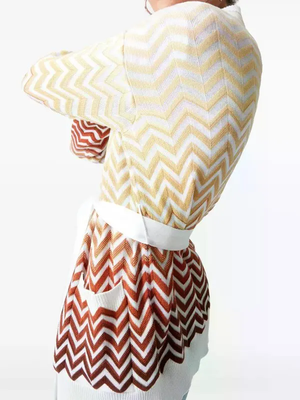 Missoni Dégradé Chevron Cardigan