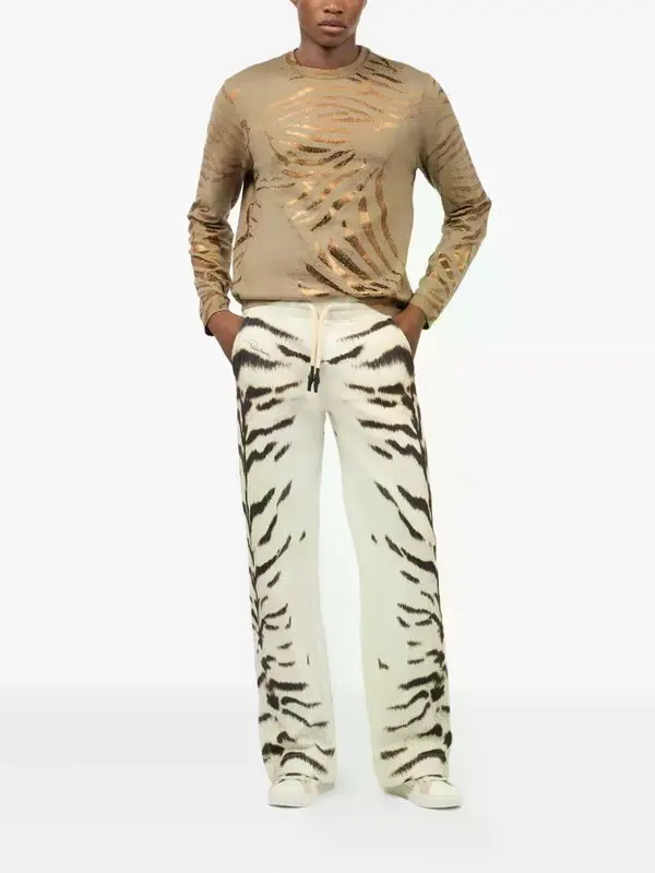 Roberto Cavalli Zebra-print Sweatshirt