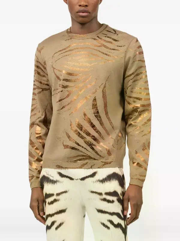 Roberto Cavalli Zebra-print Sweatshirt