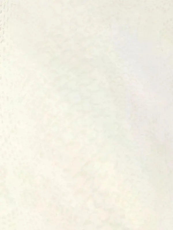 Roberto Cavalli Printed Button-down Shirt