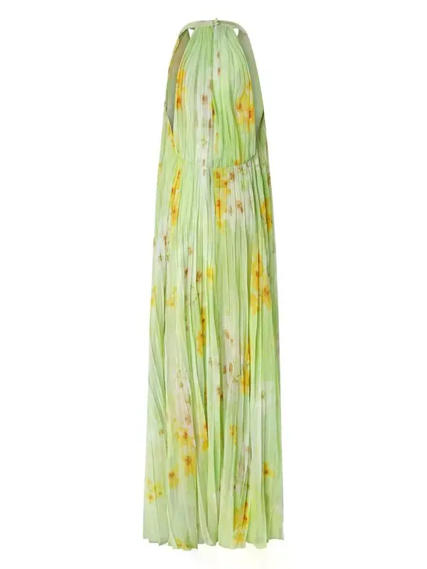 Pinko Floral-print Maxi Dress