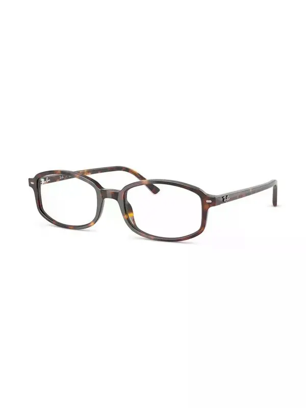 Ray-ban Glasses