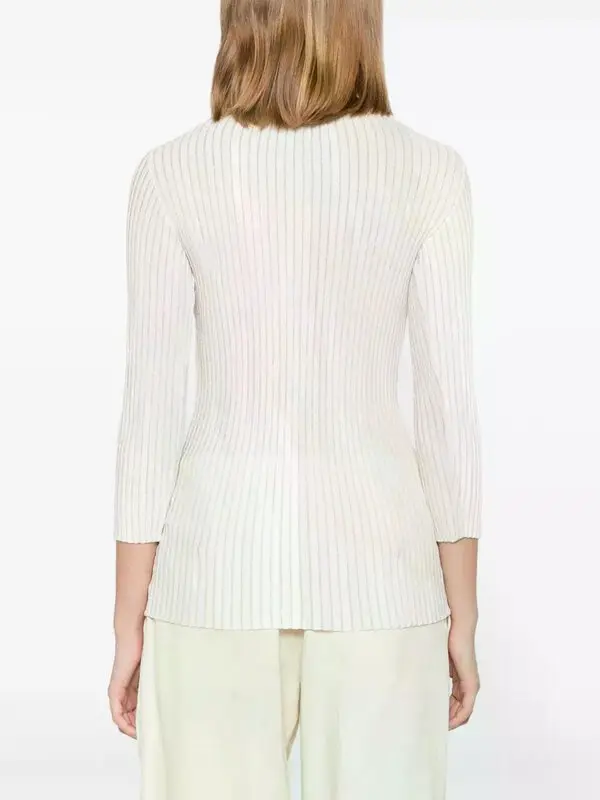 Elisabetta Franchi Ribbed-knit Jumper