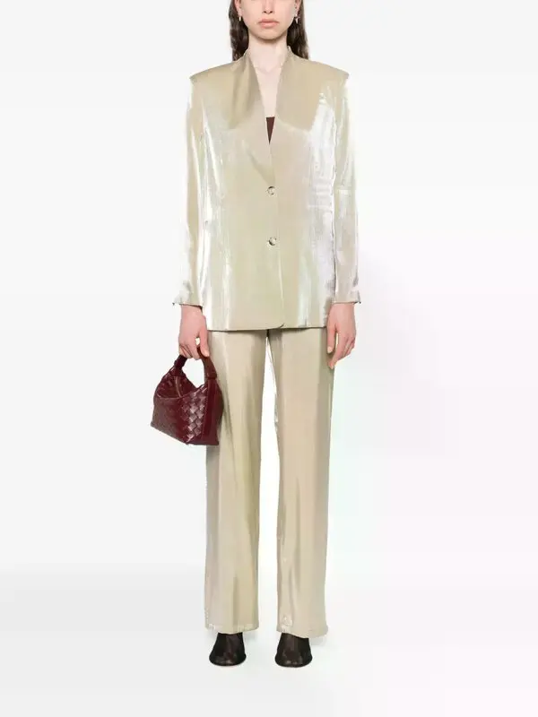 RAME Metallic Blazer