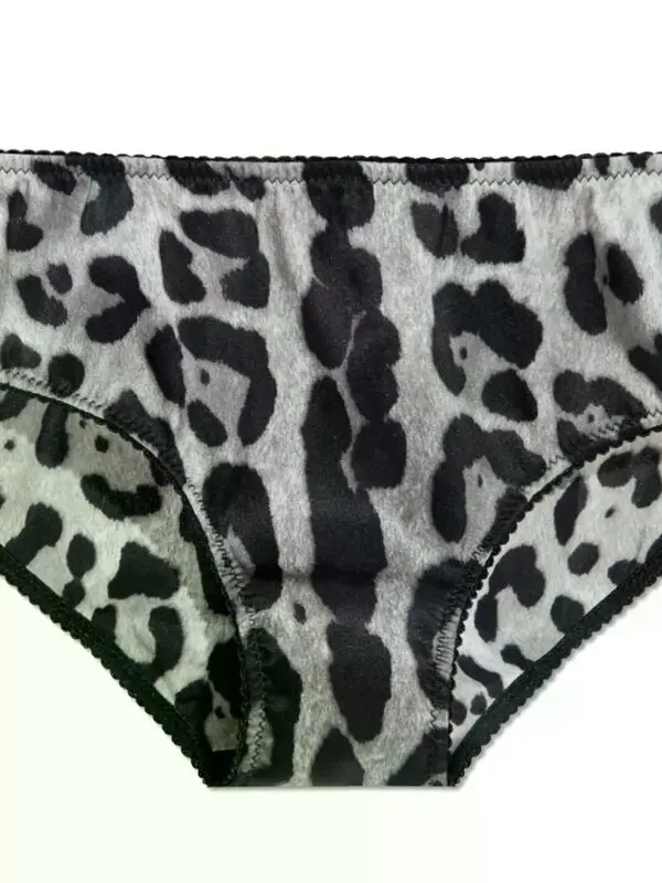 Dolce & Gabbana Leopard-print Briefs
