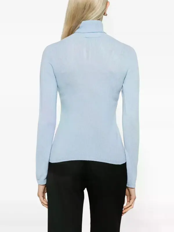 VANISÈ Cashmere Roll Neck Sweater