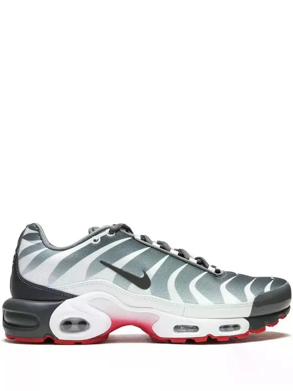 Nike Air Max Plus Sneakers