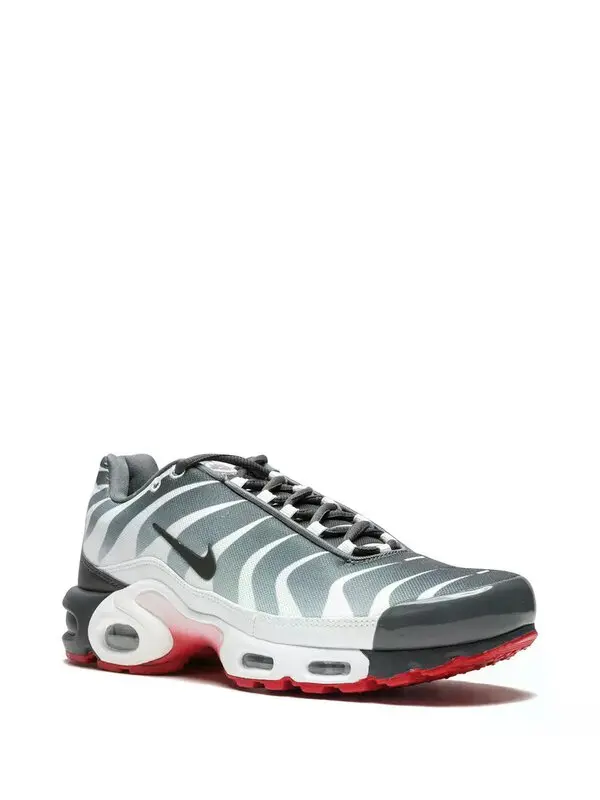 Nike Air Max Plus Sneakers